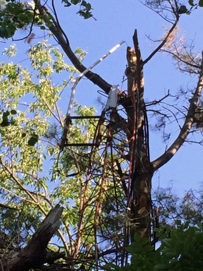 Failure to do Maintenance=Failure to have Tower – Engineering Radio